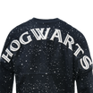 Magical Hogwarts Spirit Jersey | Harry Potter Shop US