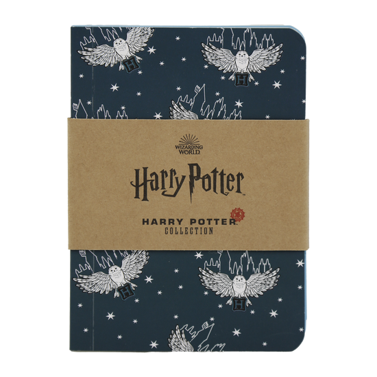 Magical Hogwarts Notebook Set | Harry Potter Shop US