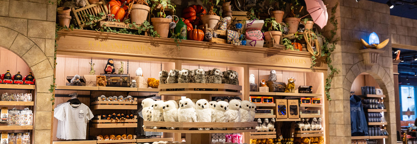 Harry Potter Shop Chicago | Harry Potter Shop US