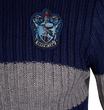 Ravenclaw Quidditch Sweater | Harry Potter Shop US