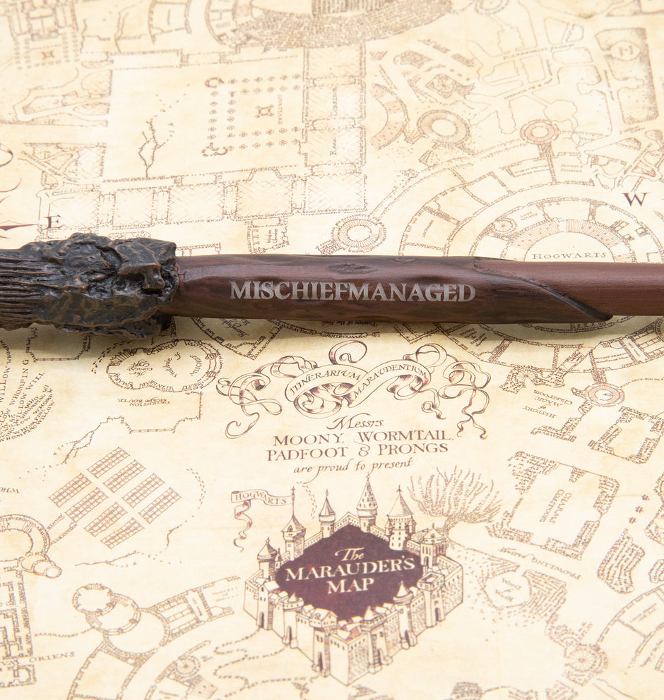 Harry Potter Character Wands | Harry Potter Shop US