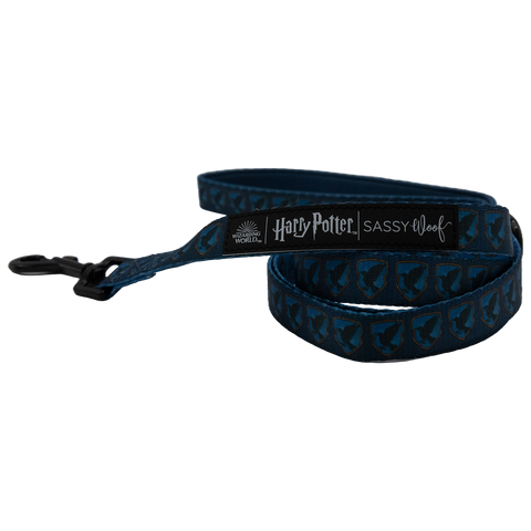 Harry Potter Homeware | Harry Potter Shop USA